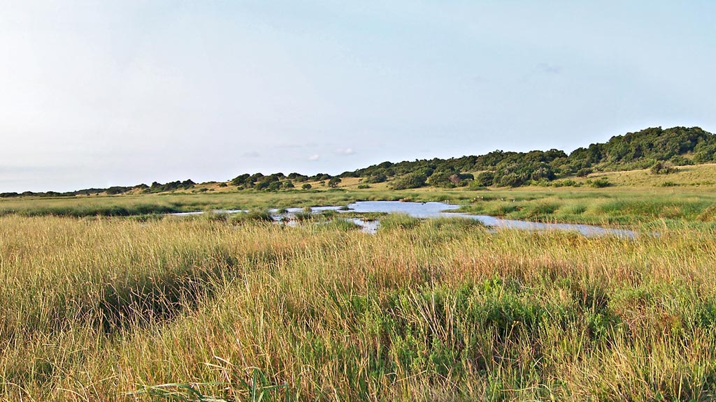 Circuit Impressions d'Afrique du Sud